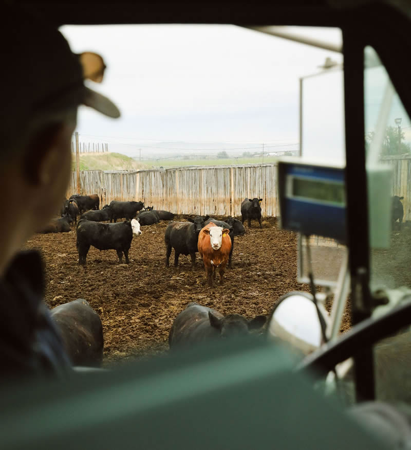 About Us – MERIWETHER FARMS