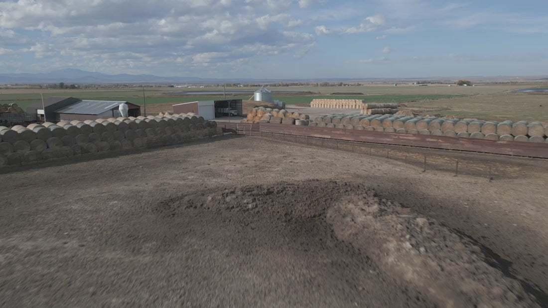 Meriwether Farms | Wyoming Born, Bred, and Fed Beef – MERIWETHER FARMS