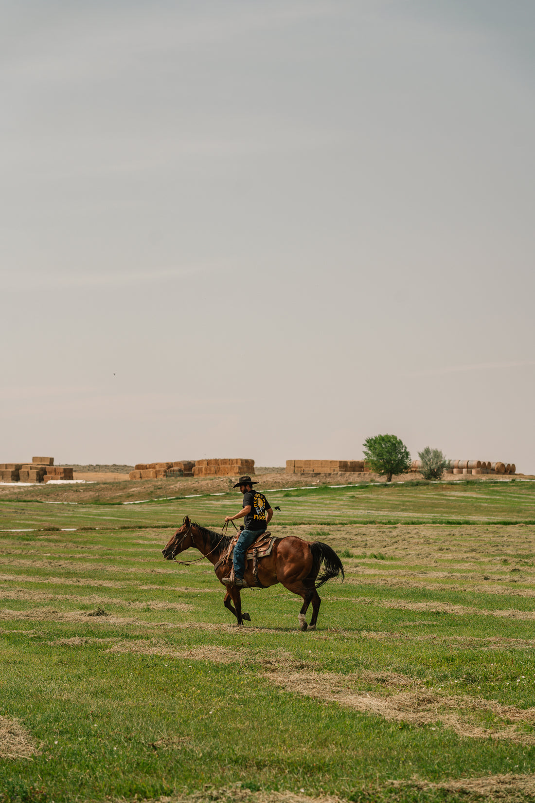 Meriwether Farms | Wyoming's Choice for Locally-Sourced, High-Quality ...